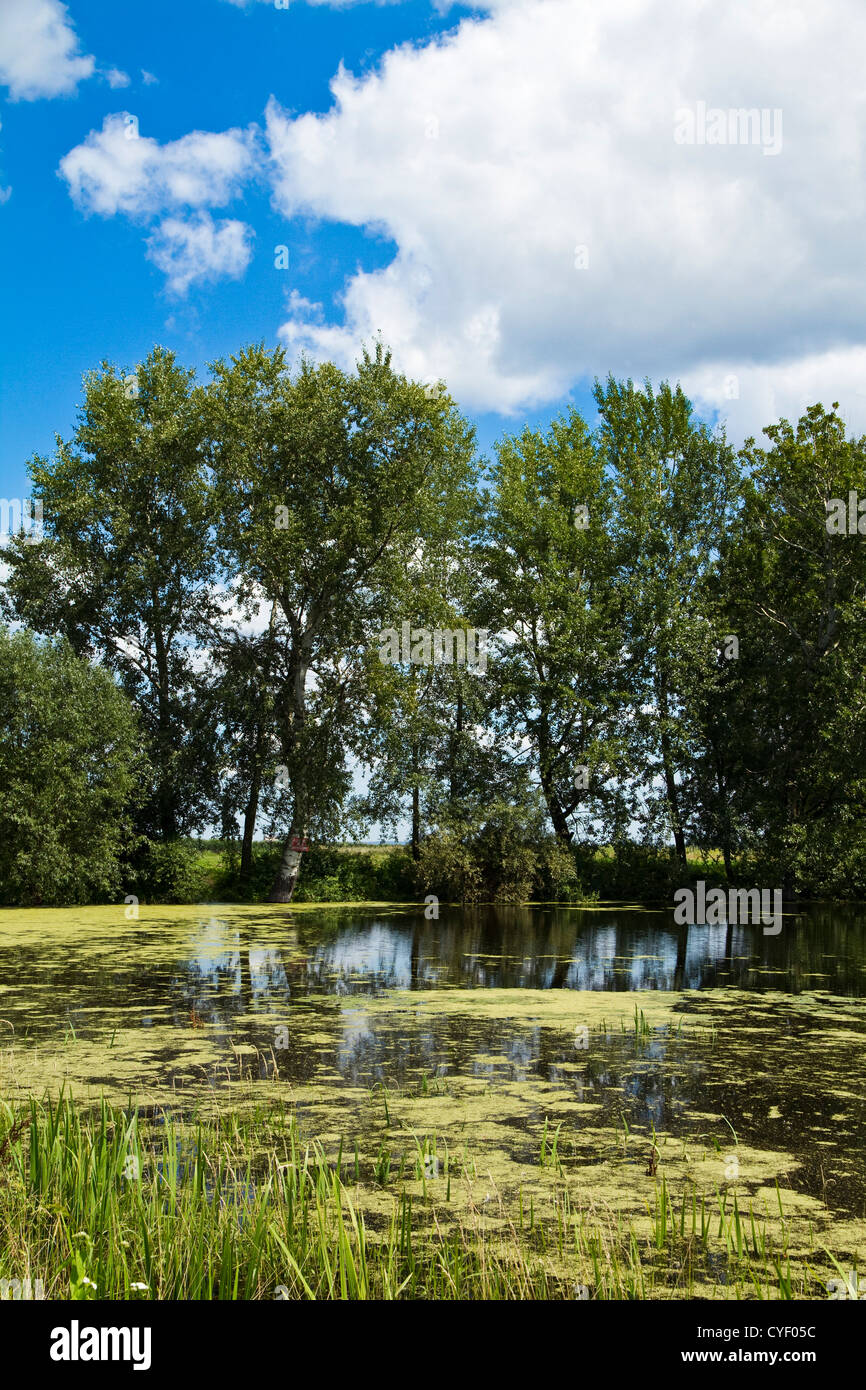 Claudy country park hi-res stock photography and images - Alamy