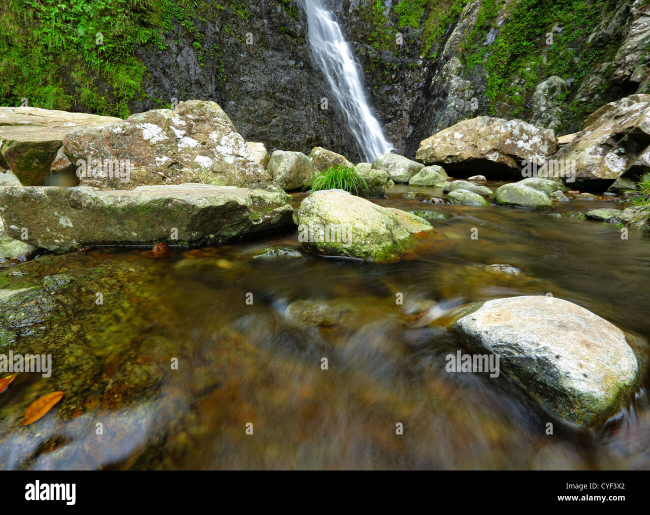 water spring in forest Stock Photo - Alamy