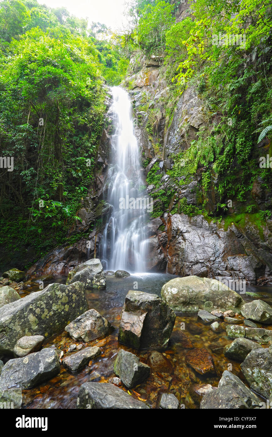 cascade in forest Stock Photo - Alamy