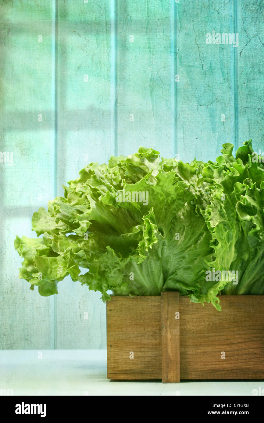 Leaf lettuce in wooden box against grunge background Stock Photo - Alamy