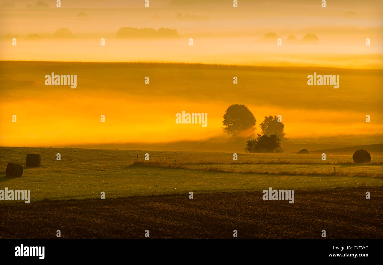 countryside in the morning light Stock Photo - Alamy