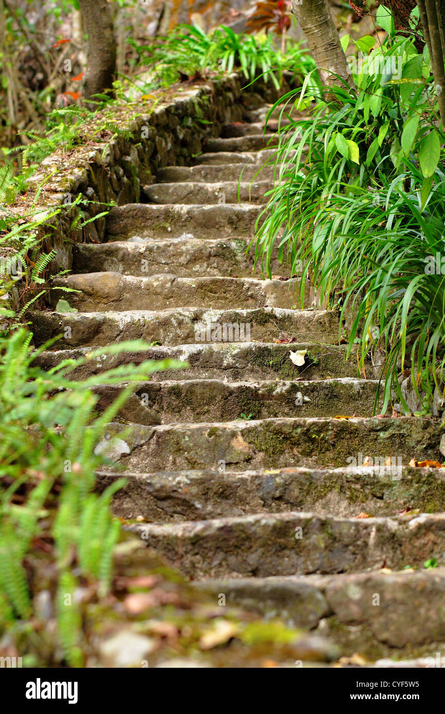 stone stair outdoor Stock Photo - Alamy