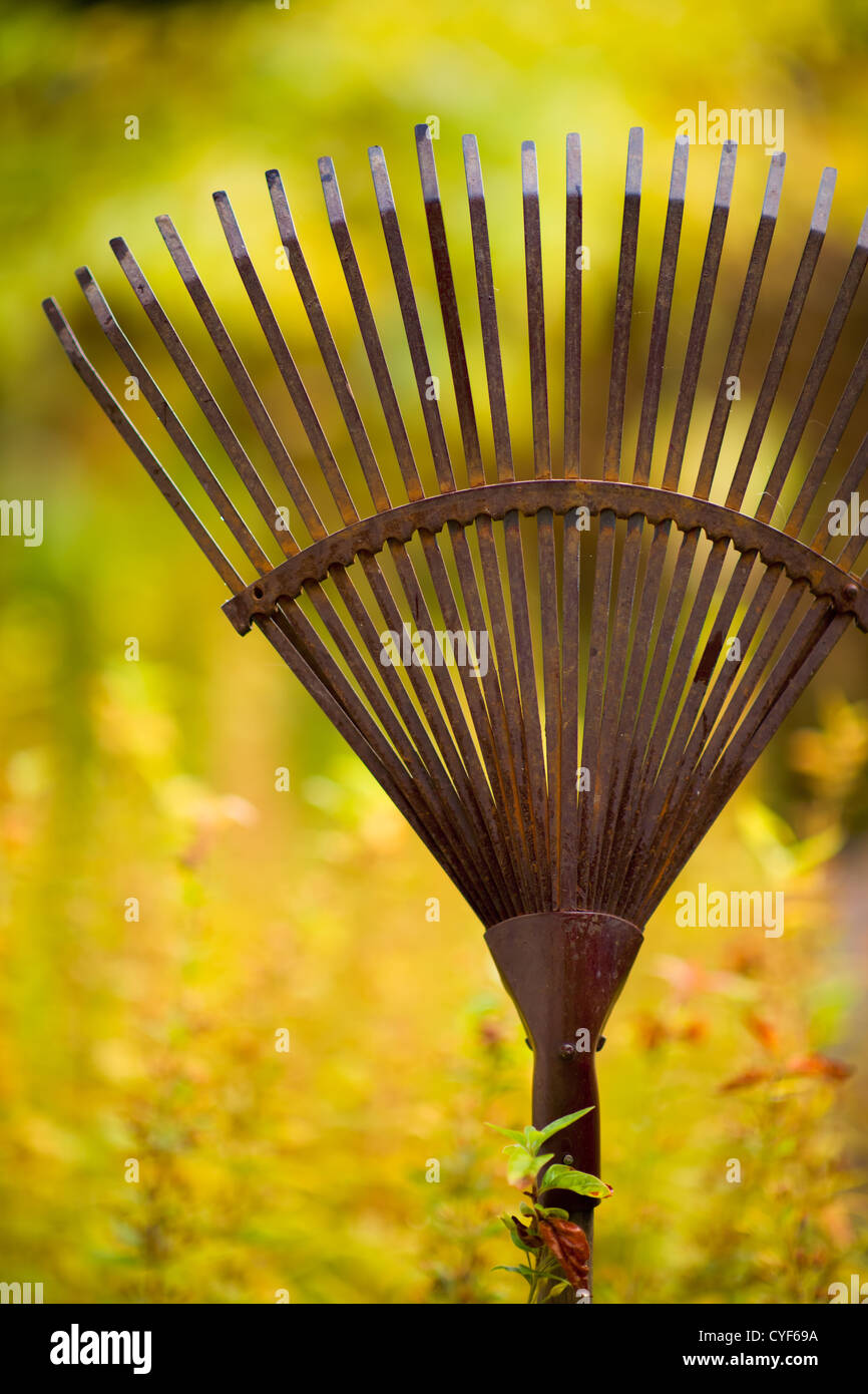 Old rake ready to autumn work, colors of autumn on the background ...