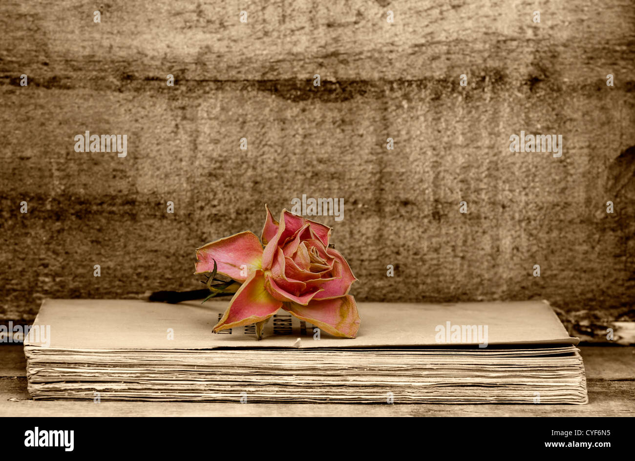 Faded document hi-res stock photography and images - Alamy