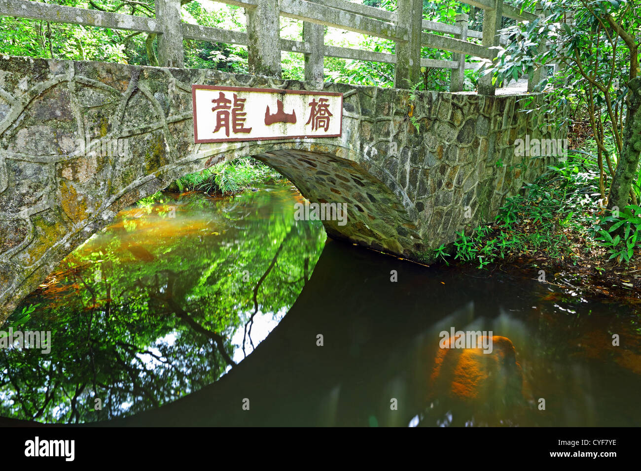 Bridge in forest Stock Photo - Alamy