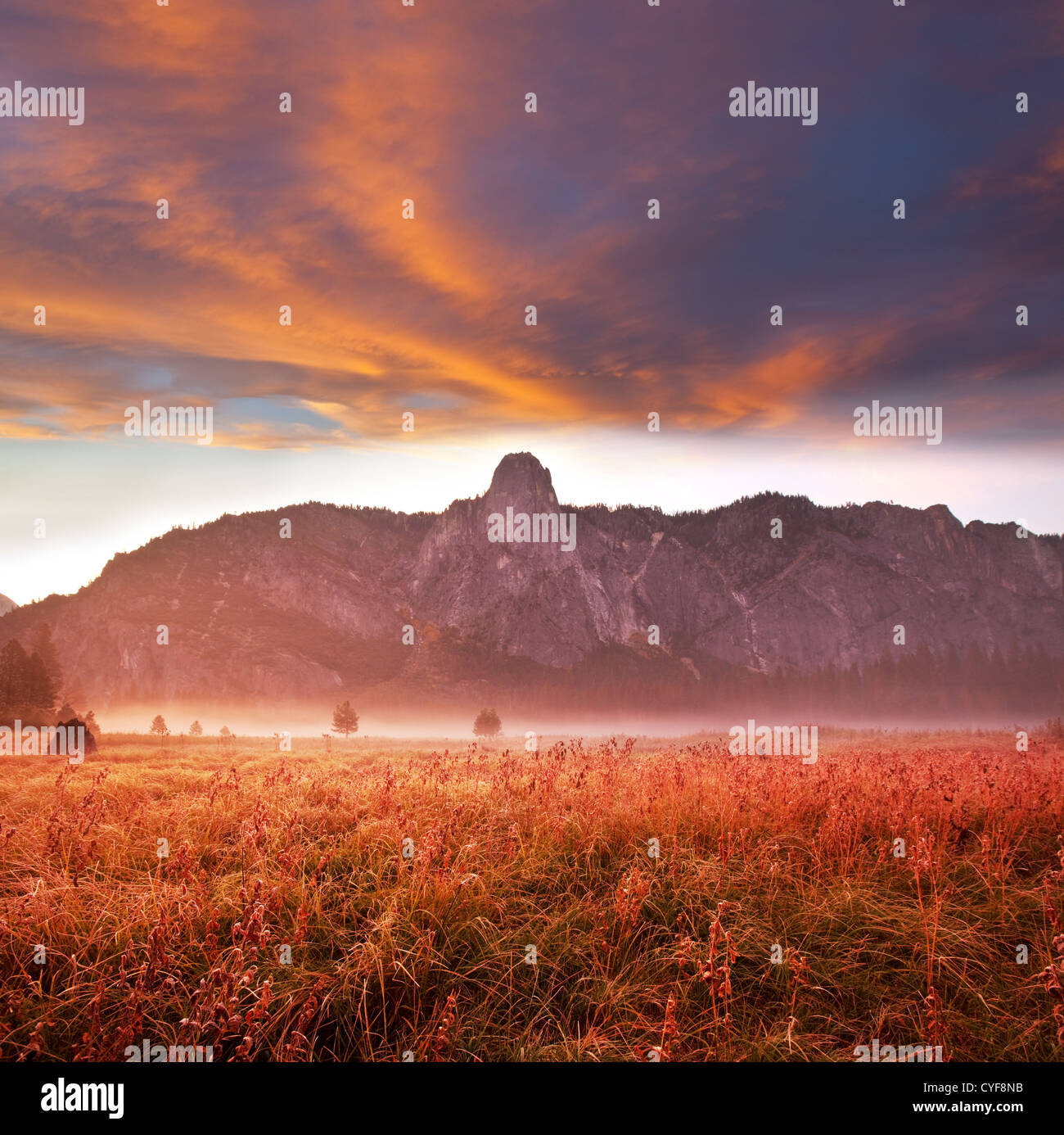 serenity morning meadow in Yosemite Stock Photo - Alamy