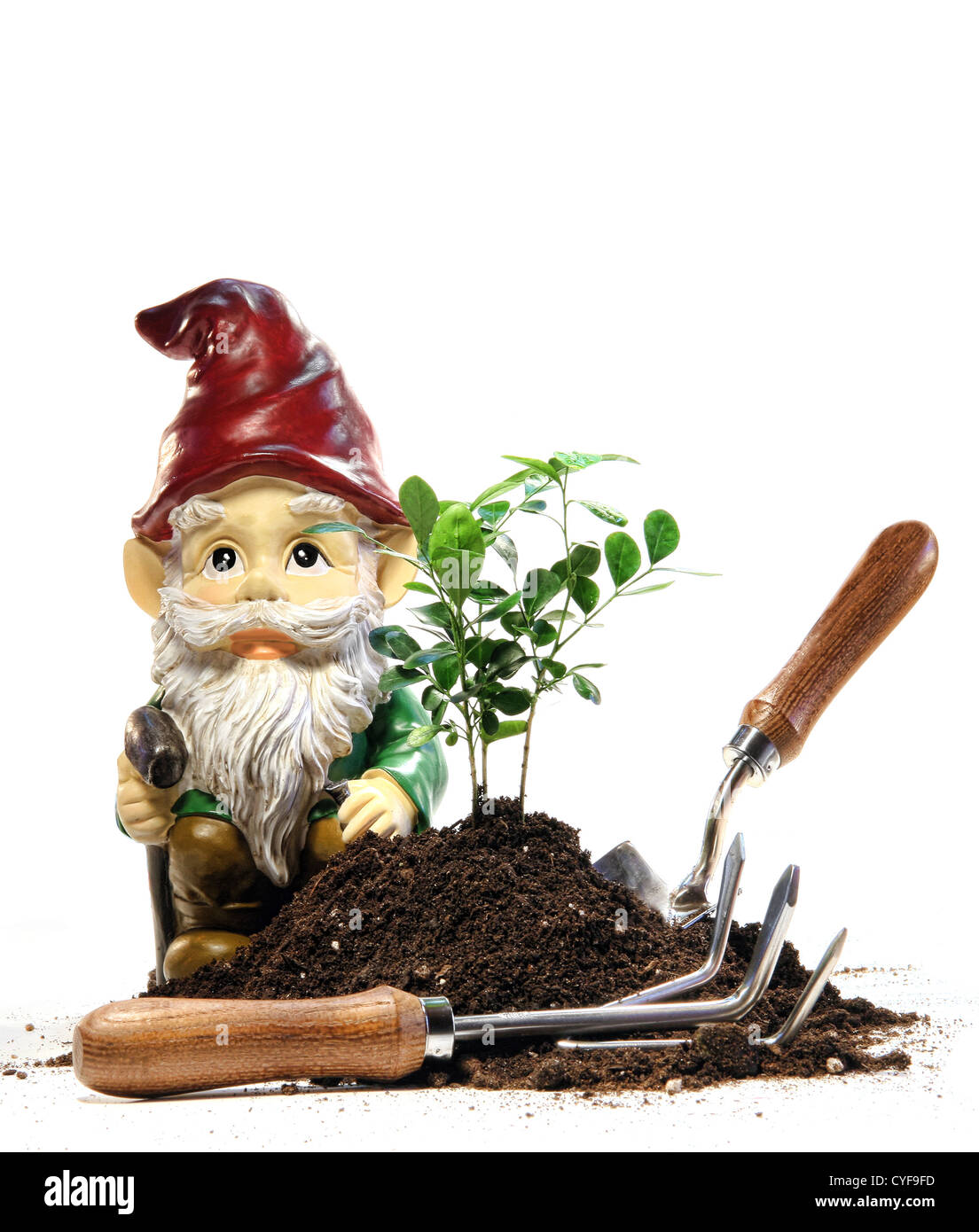 Garden gnome and house hi-res stock photography and images - Alamy