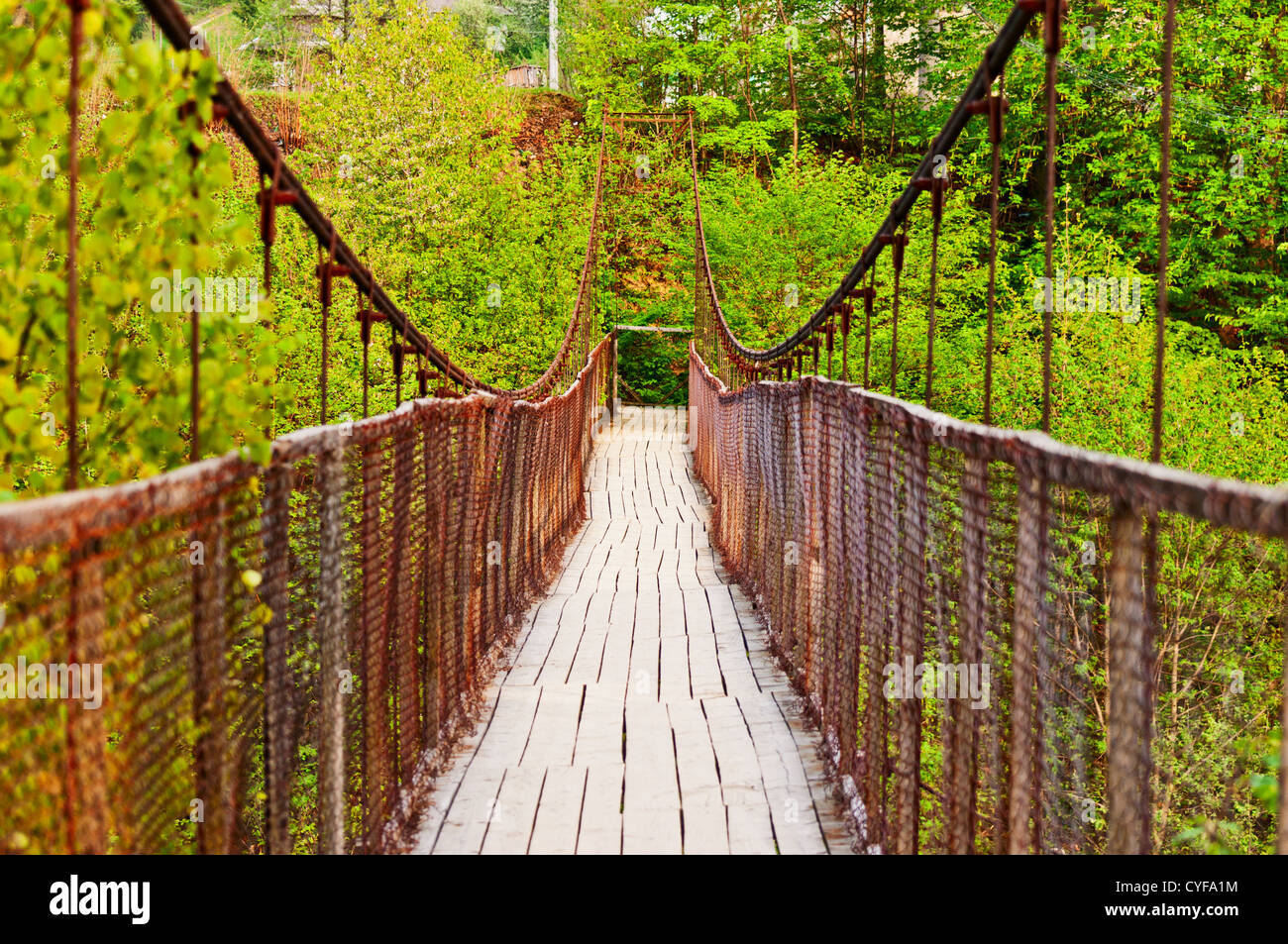 Rope bridge Carpathian Mountains, Ukraine Stock Photo - Alamy