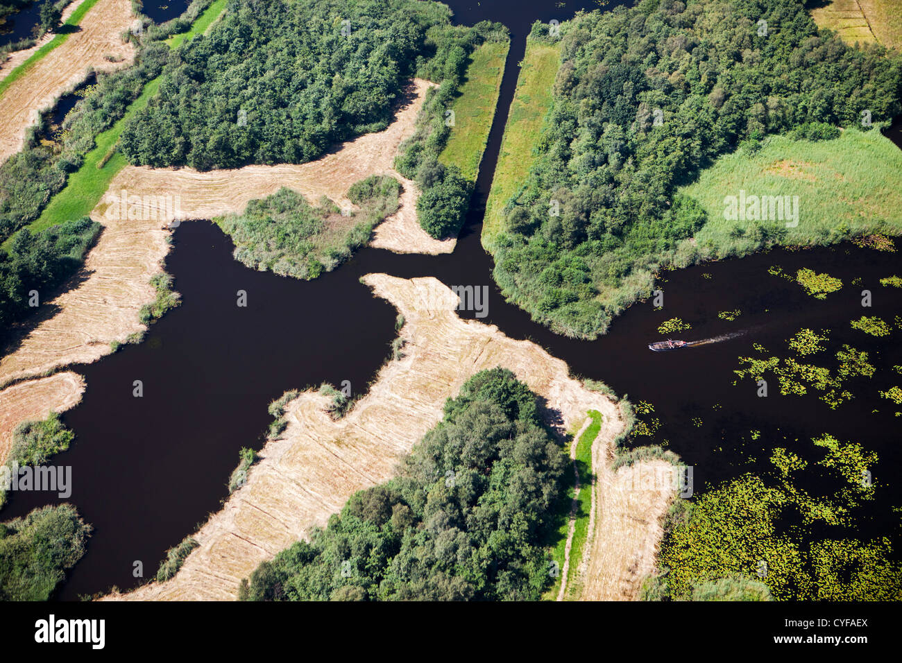 The Netherlands, Kortenhoef. Maintenance worker in boat on Kortenhoefse ...