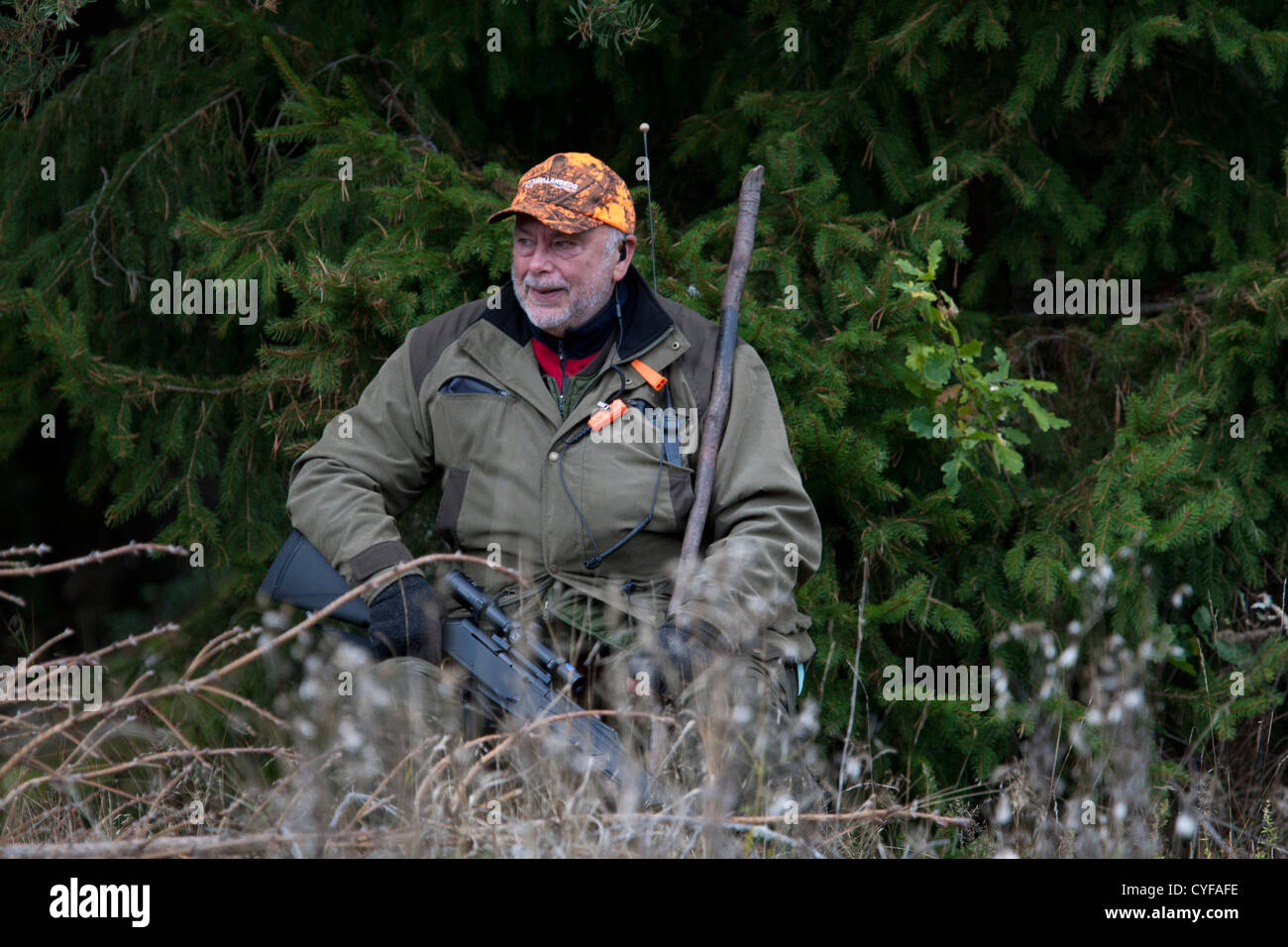 Hunters in the woods Stock Photo - Alamy