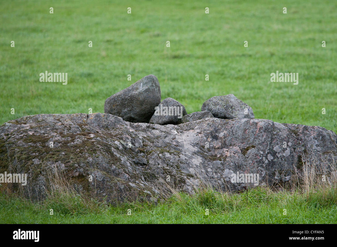 Stones in a field Stock Photo - Alamy