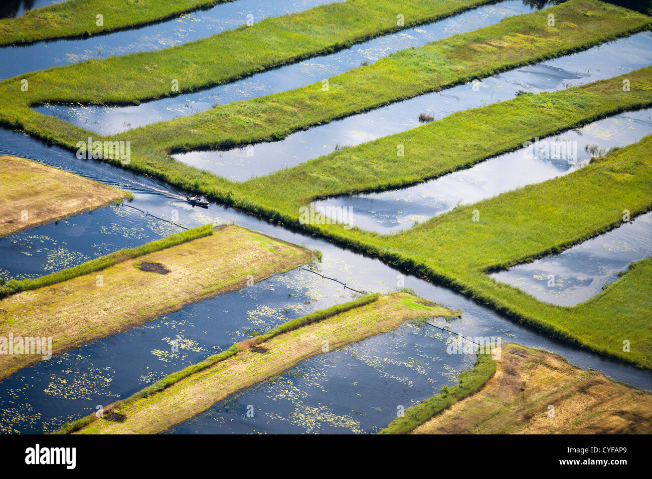 The Netherlands, Kalenberg, Weerribben-Wieden National Park. Motorboat ...