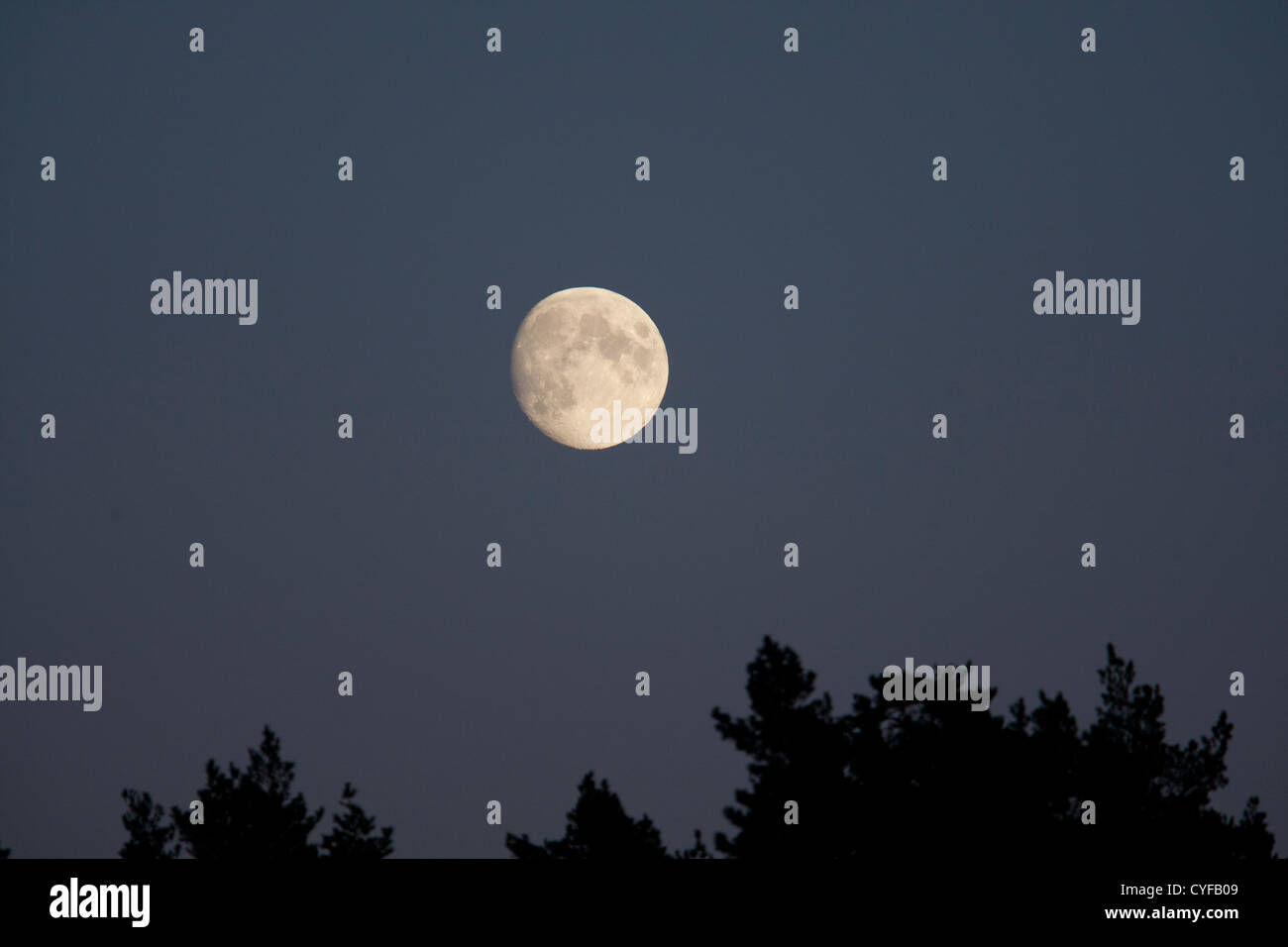 Full moon dark night hi-res stock photography and images - Alamy