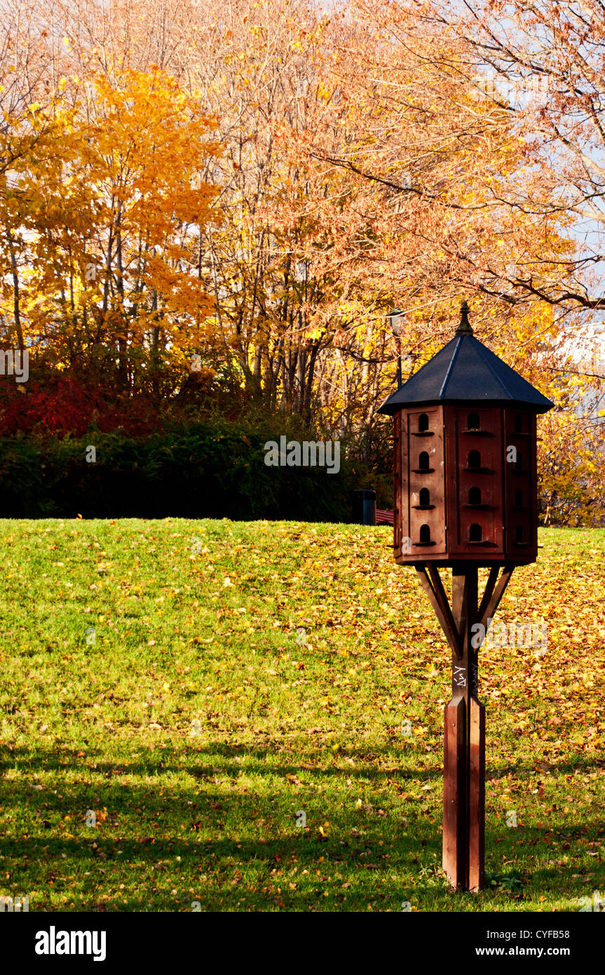 Bird house in city park at fall autumn Stock Photo - Alamy