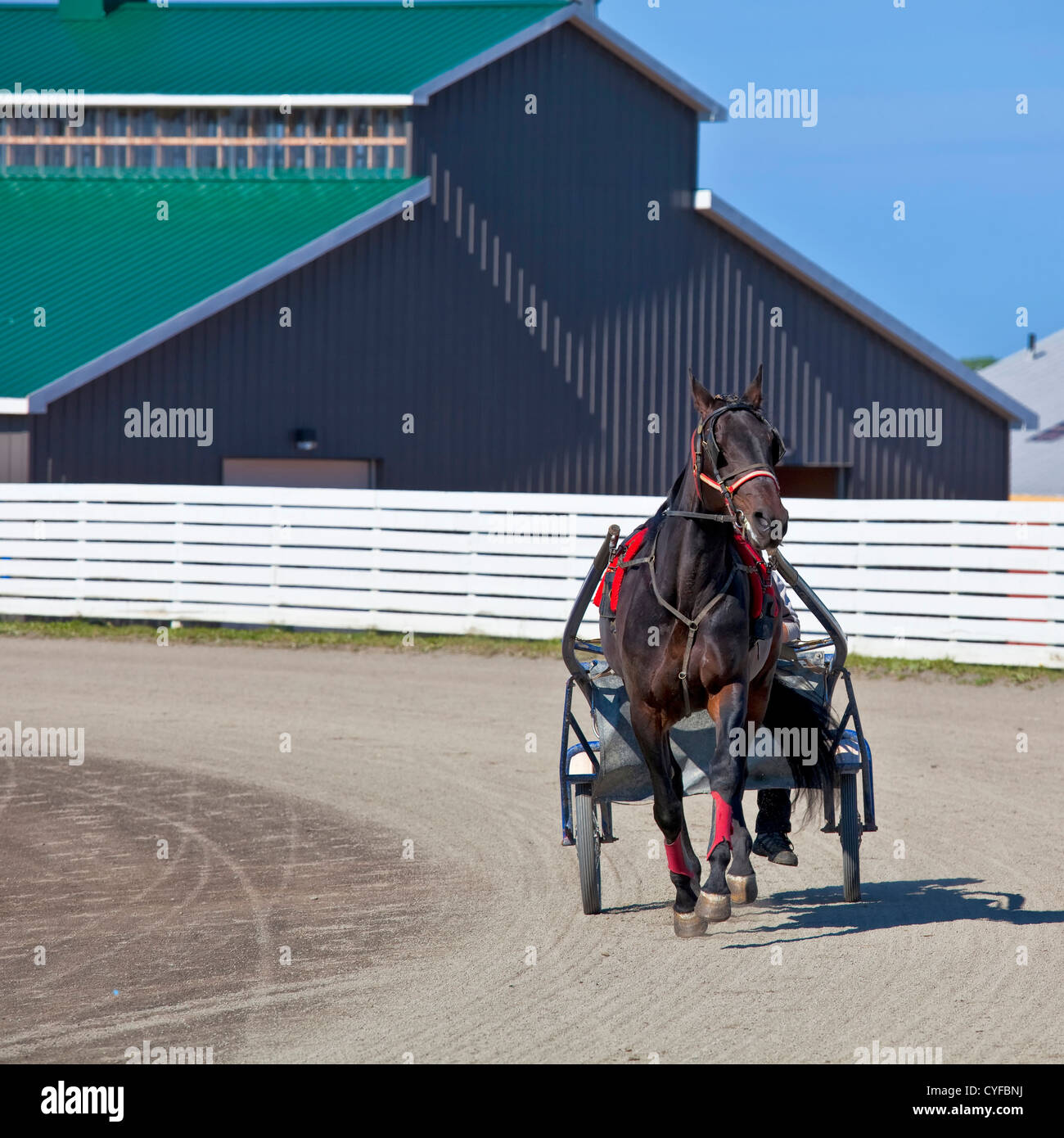 Horses in harness hi-res stock photography and images - Alamy