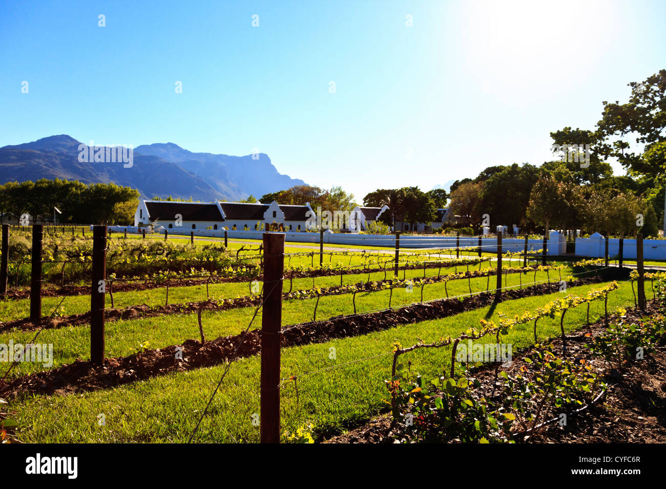 A wine farm in the Cape province of South Africa Stock Photo - Alamy