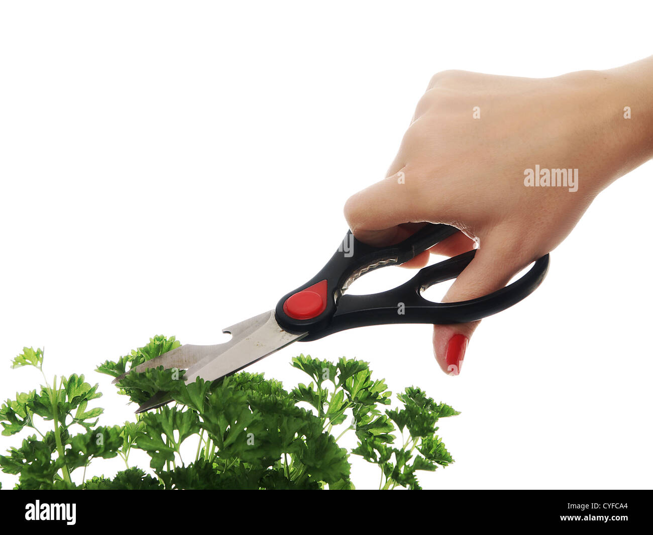 Woman hand with scissors Stock Photo - Alamy
