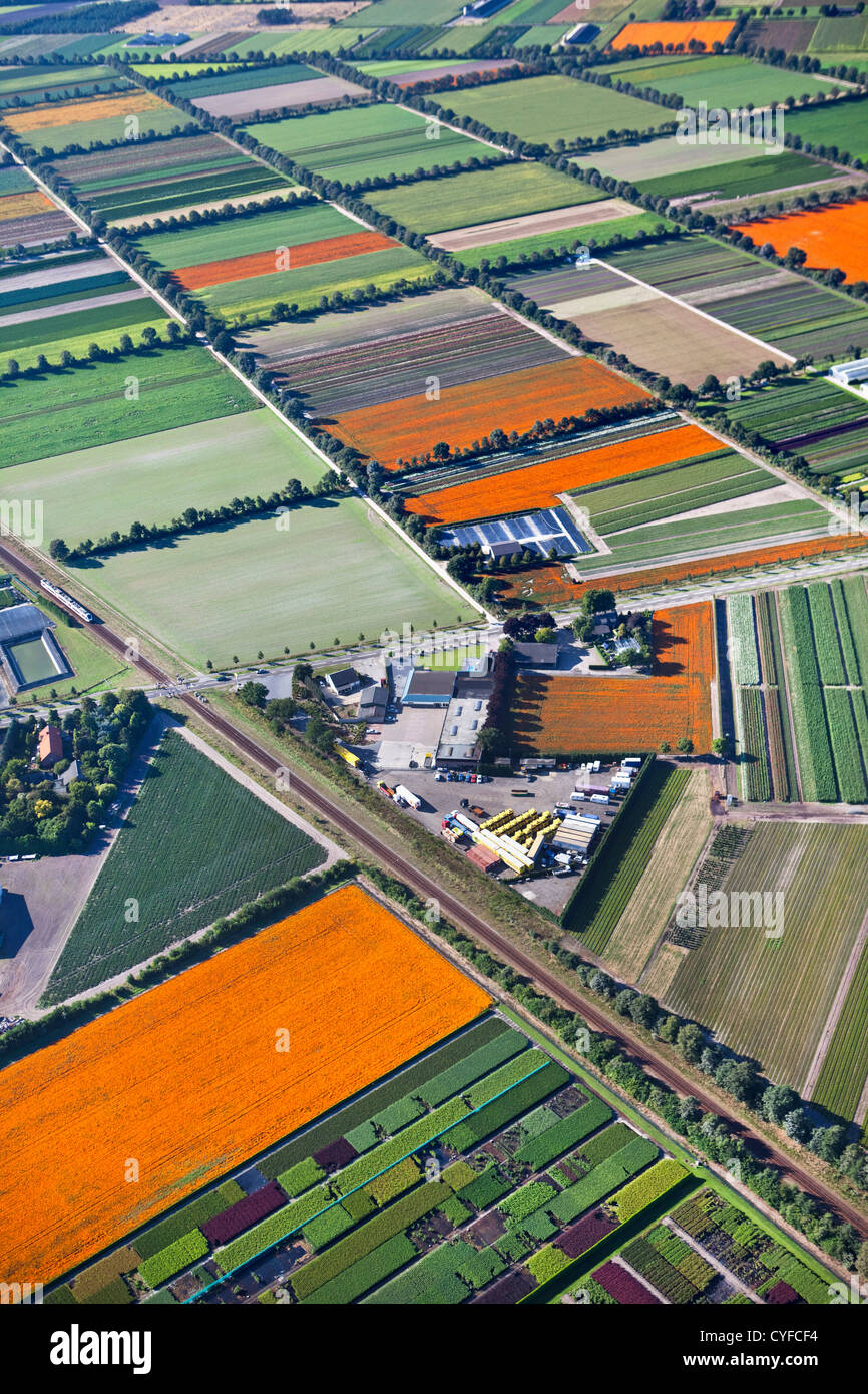 The Netherlands, Grubbenvorst. Horticulture. The orange fields are ...