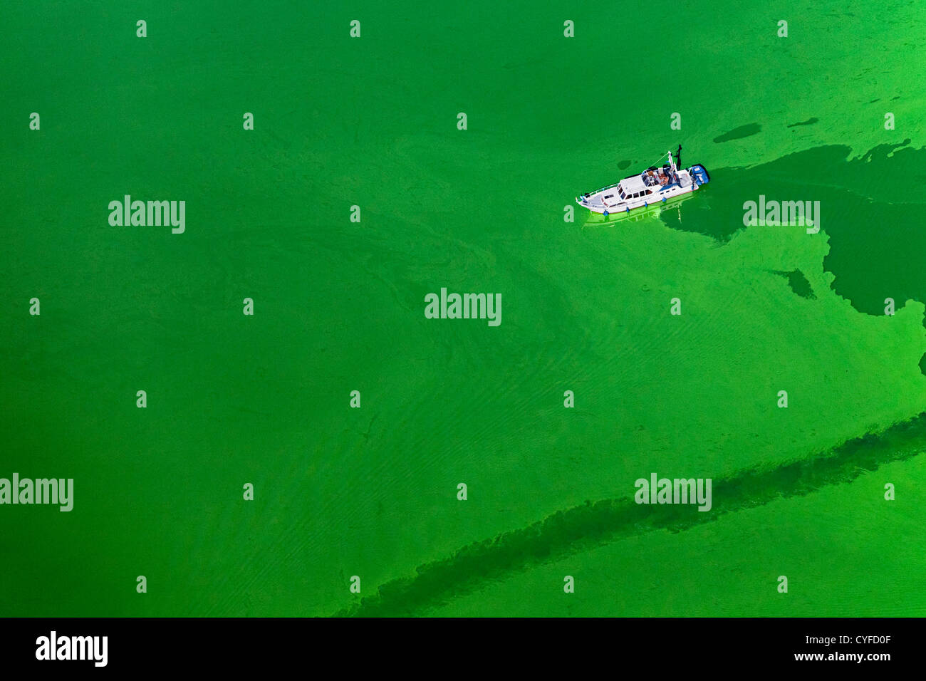 Green High Resolution Stock Photography and Images - Alamy