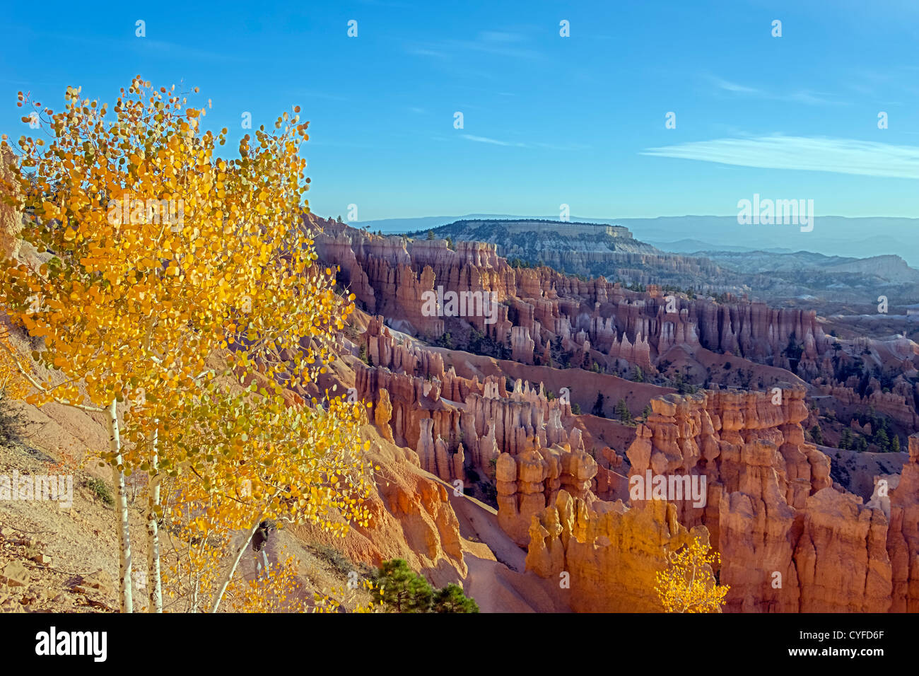 Bryce Canyon National Park Bryce park Stock Photo - Alamy