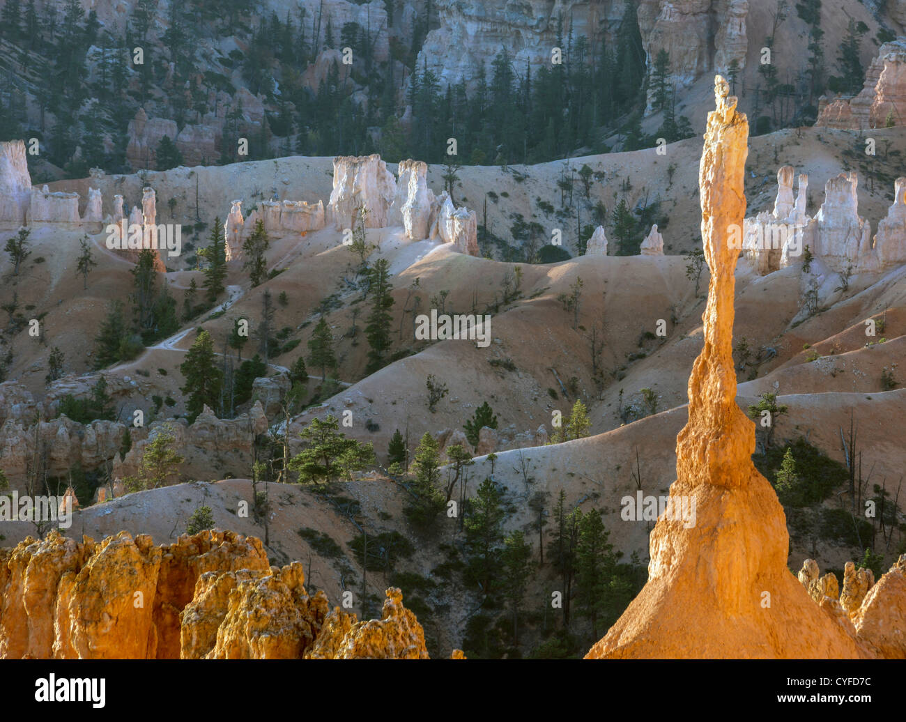 Bryce Canyon National Park Bryce park Stock Photo - Alamy