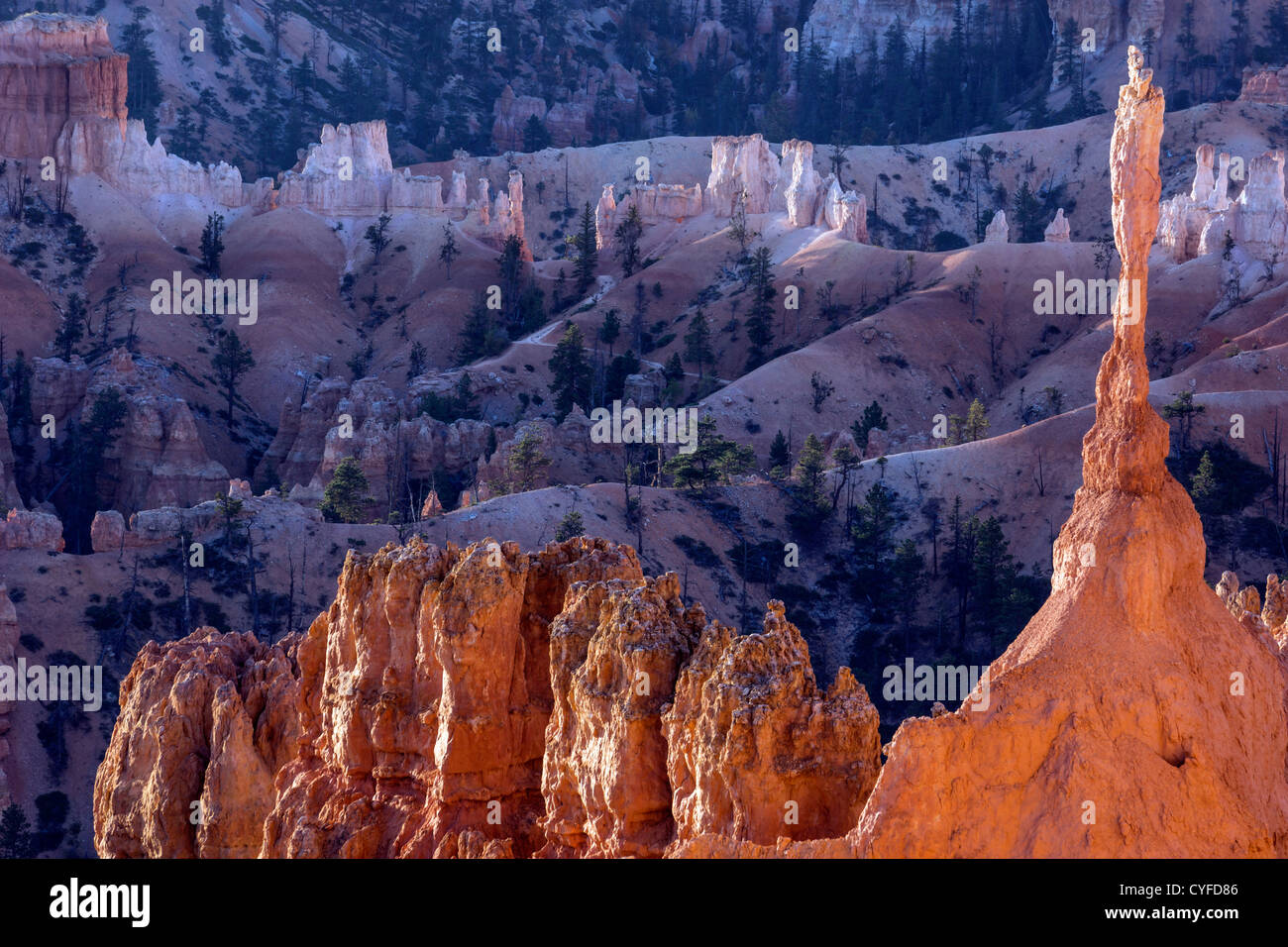Bryce Canyon National Park, Utah Stock Photo - Alamy