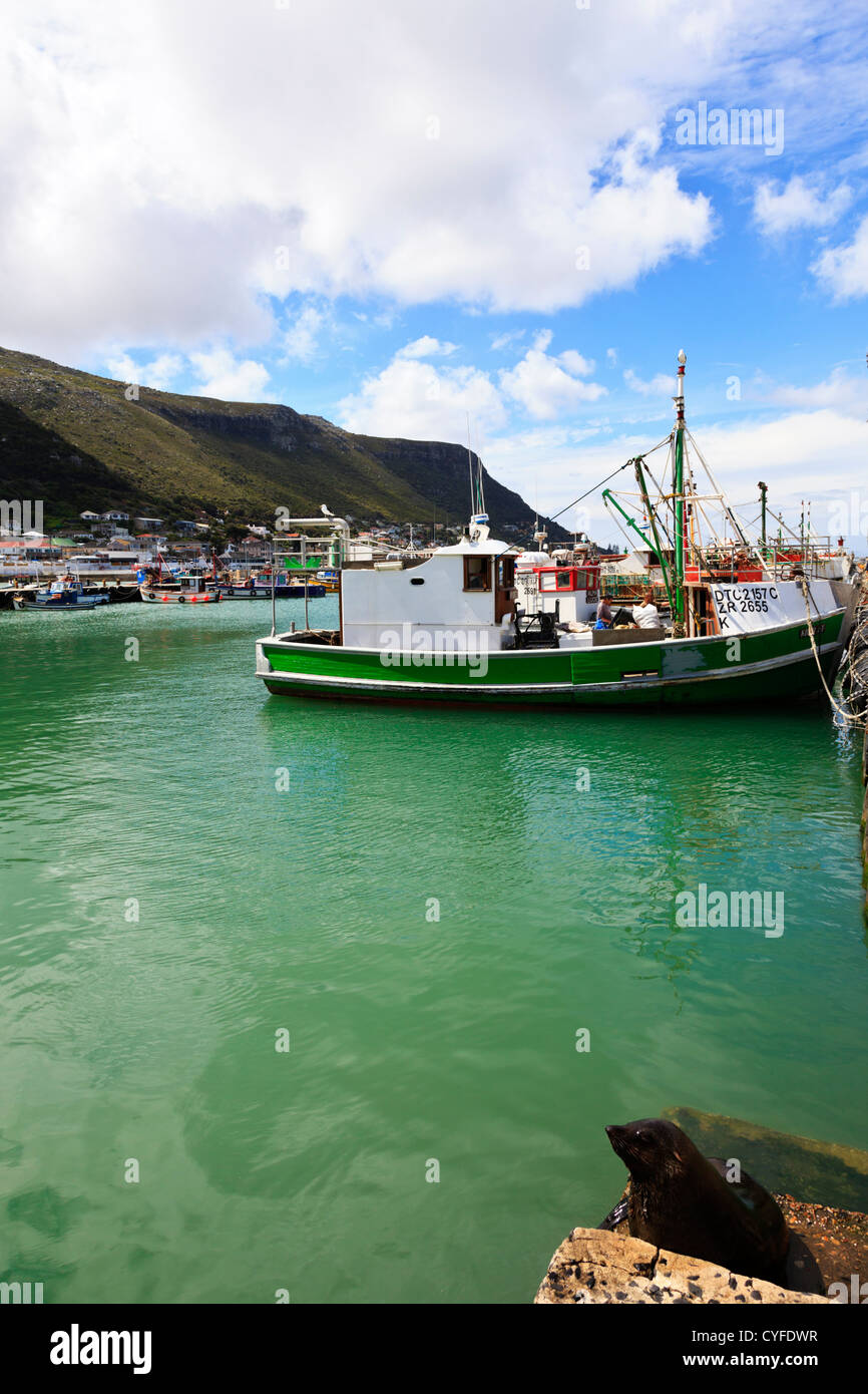 Cape Town, South Africa. The fishing harbour of Kalk Bay near Cape Town ...