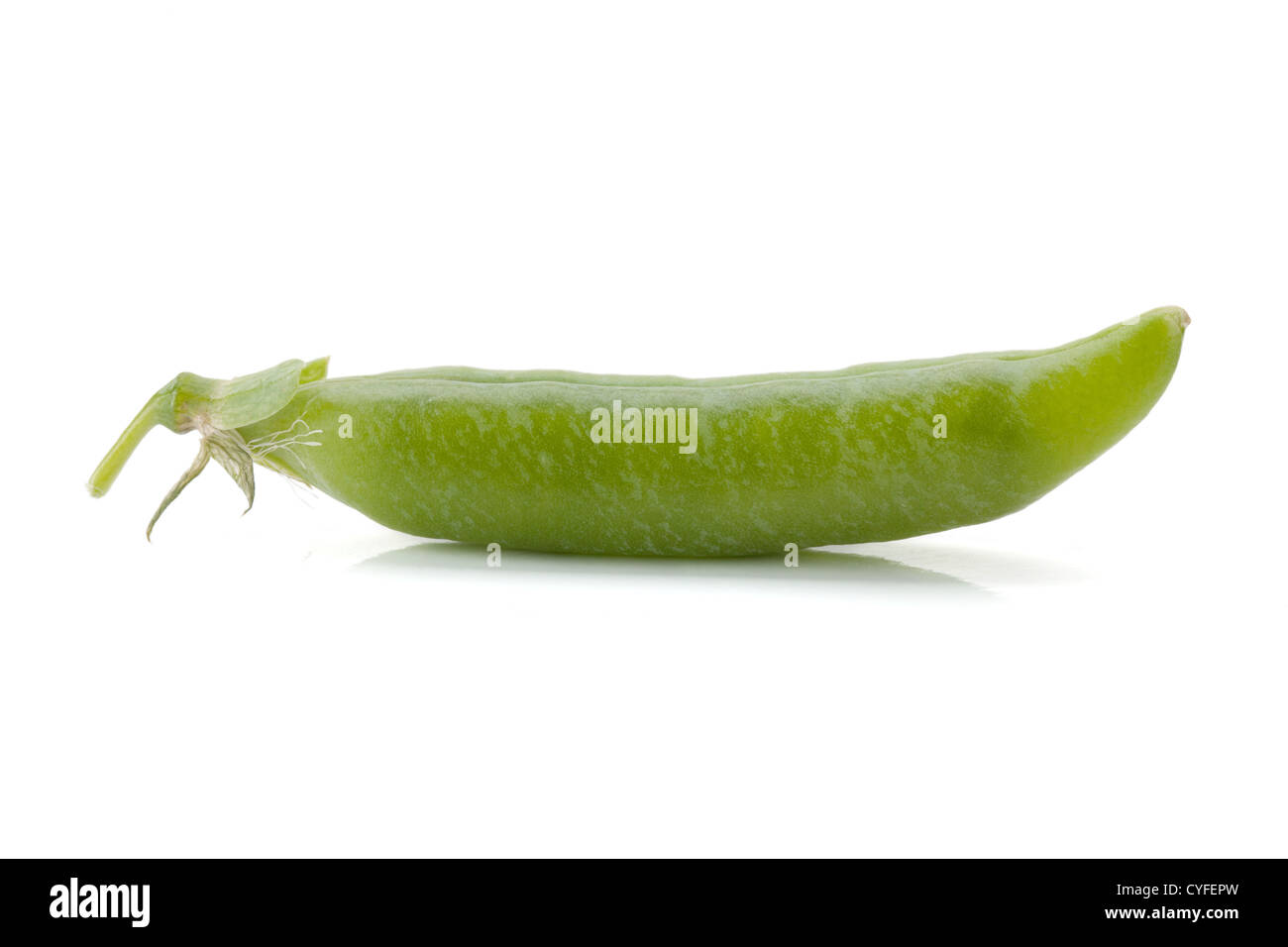 Ripe pea vegetable. Isolated on white background Stock Photo - Alamy
