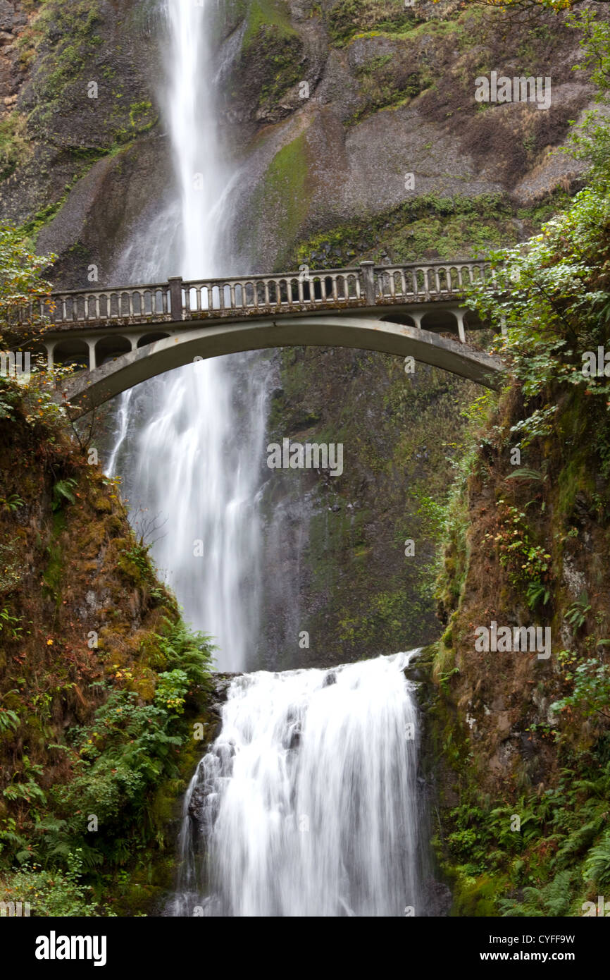 Multnomah Falls in Oregon Stock Photo - Alamy