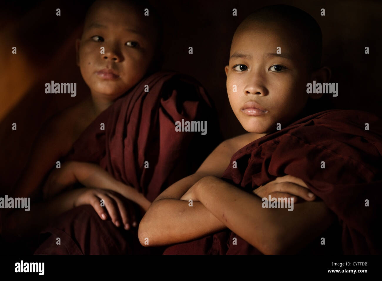 Young buddhist novice monk inside a temple background, low light ...