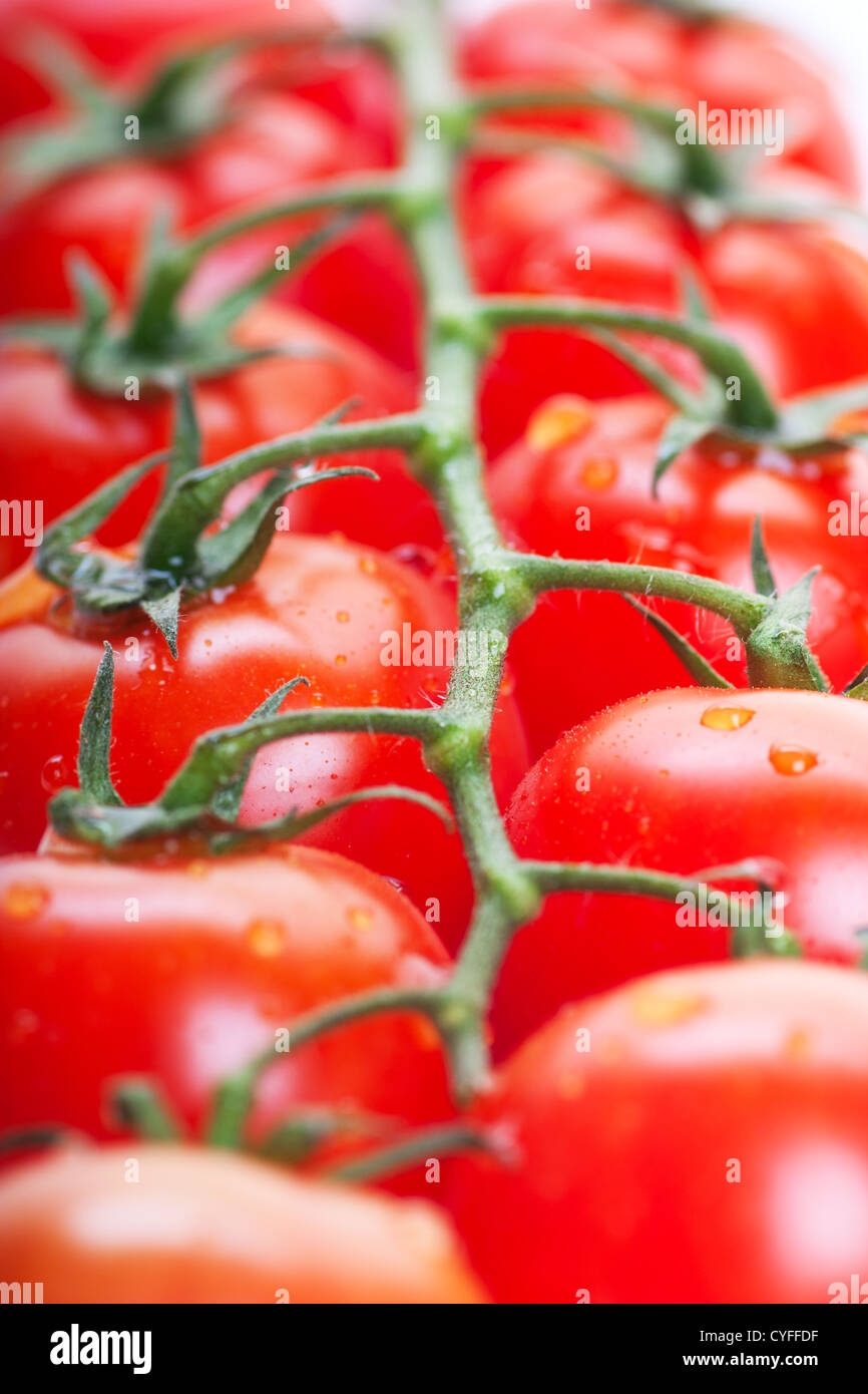 Tomato on a twig hi-res stock photography and images - Alamy