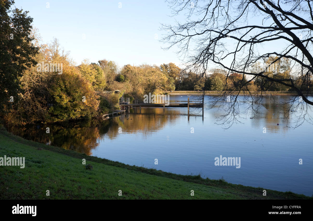 Hampstead Heath pond on an autumn afternoon, England, UK Stock Photo ...