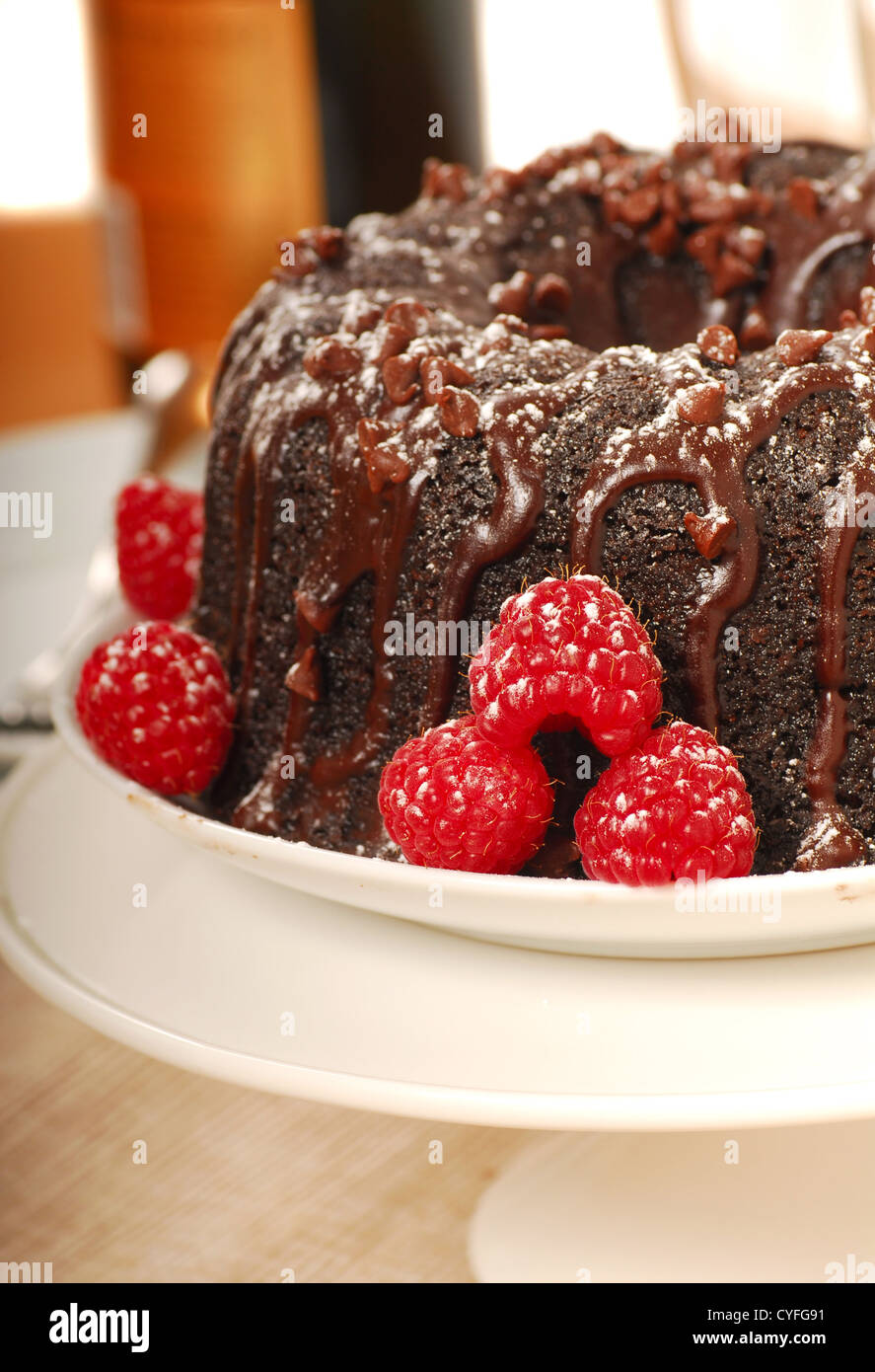 Fresh chocolate fudge cake with raspberries, powdered sugar and ...
