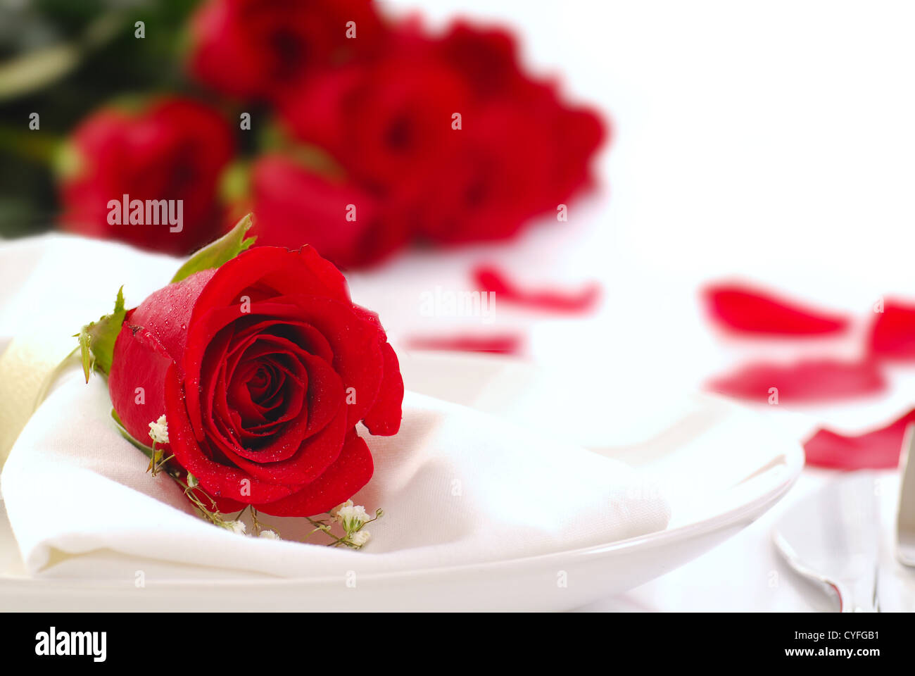 Single red rose with roses in the background showing a romantic dinner ...