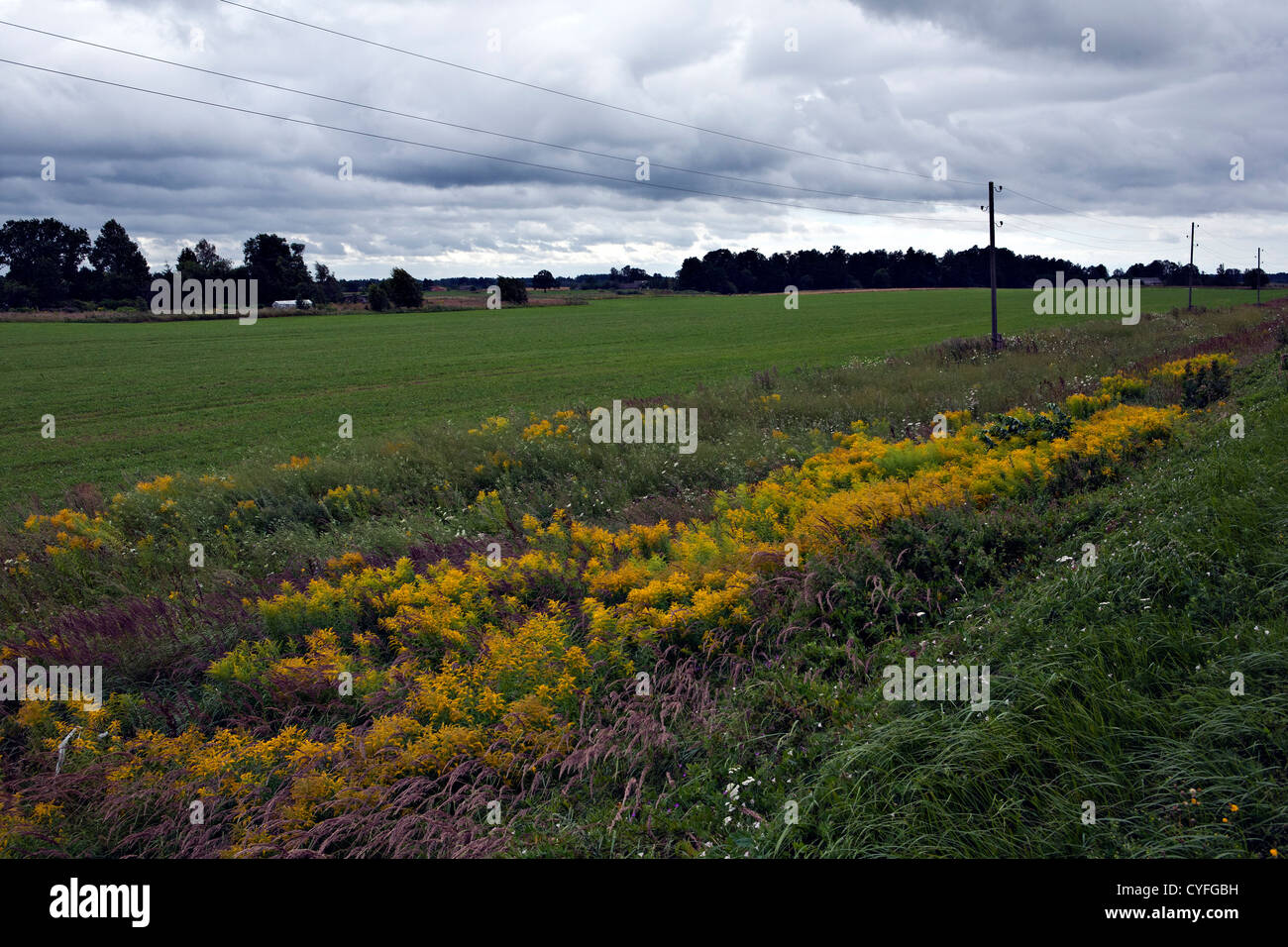 Typical rural scenery of latvia hi-res stock photography and images - Alamy