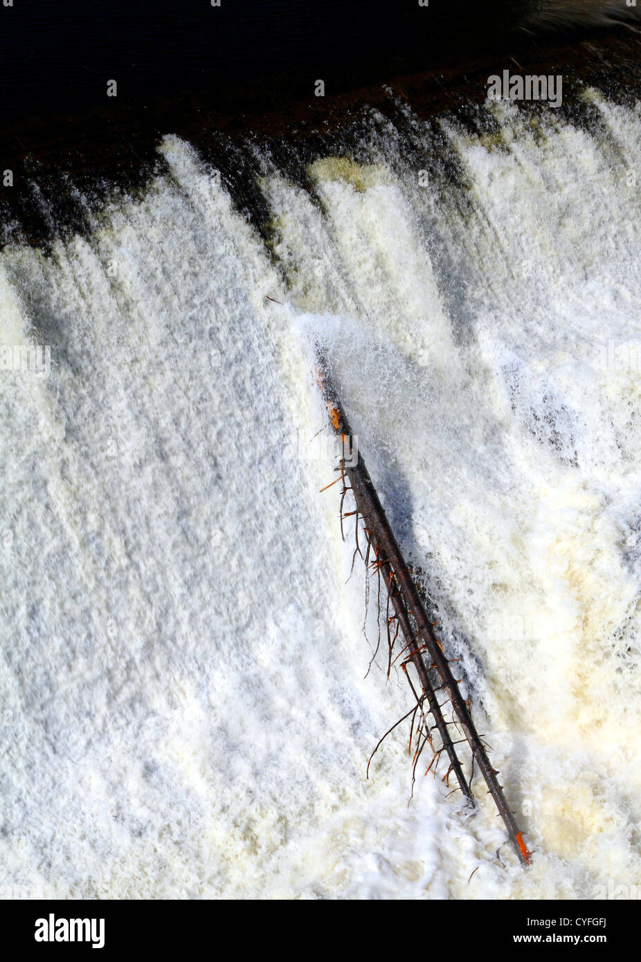 Tree and Waterfalls Stock Photo - Alamy