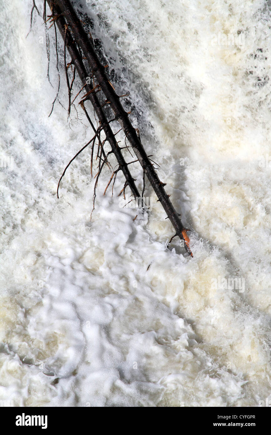 Falls and Tree Stock Photo - Alamy