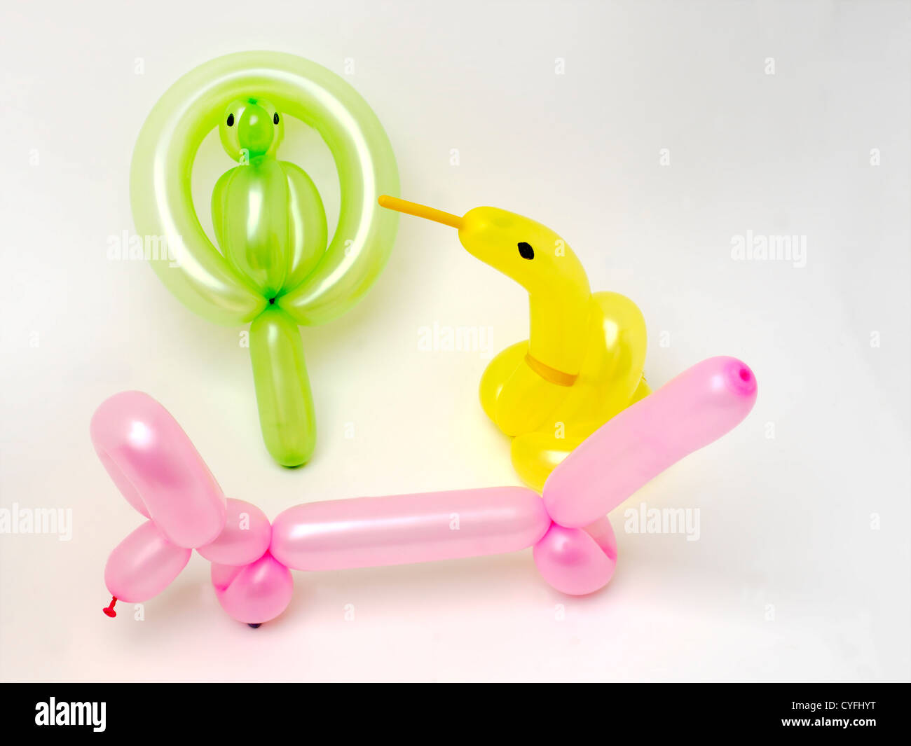 Balloon Swan Parrot and Dog Stock Photo - Alamy