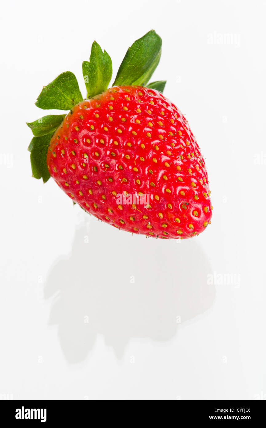 One strawberry with reflection and white background Stock Photo - Alamy