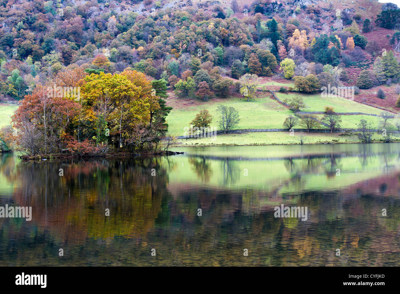 Rydal Water in the Lake District Cumbria Stock Photo - Alamy