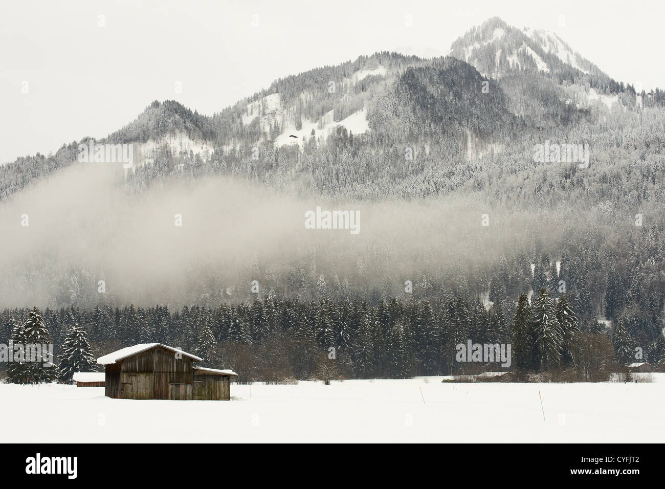 Bavaria alps in winter hi-res stock photography and images - Alamy