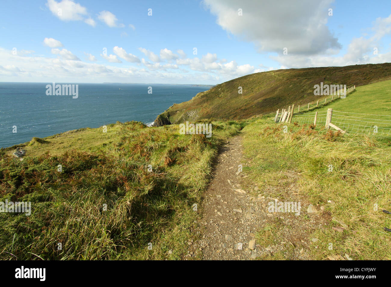 Clifftop path Cornwall England Stock Photo - Alamy