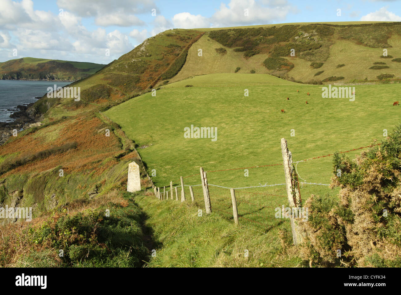 Cliff clifftop coast walk hi-res stock photography and images - Alamy