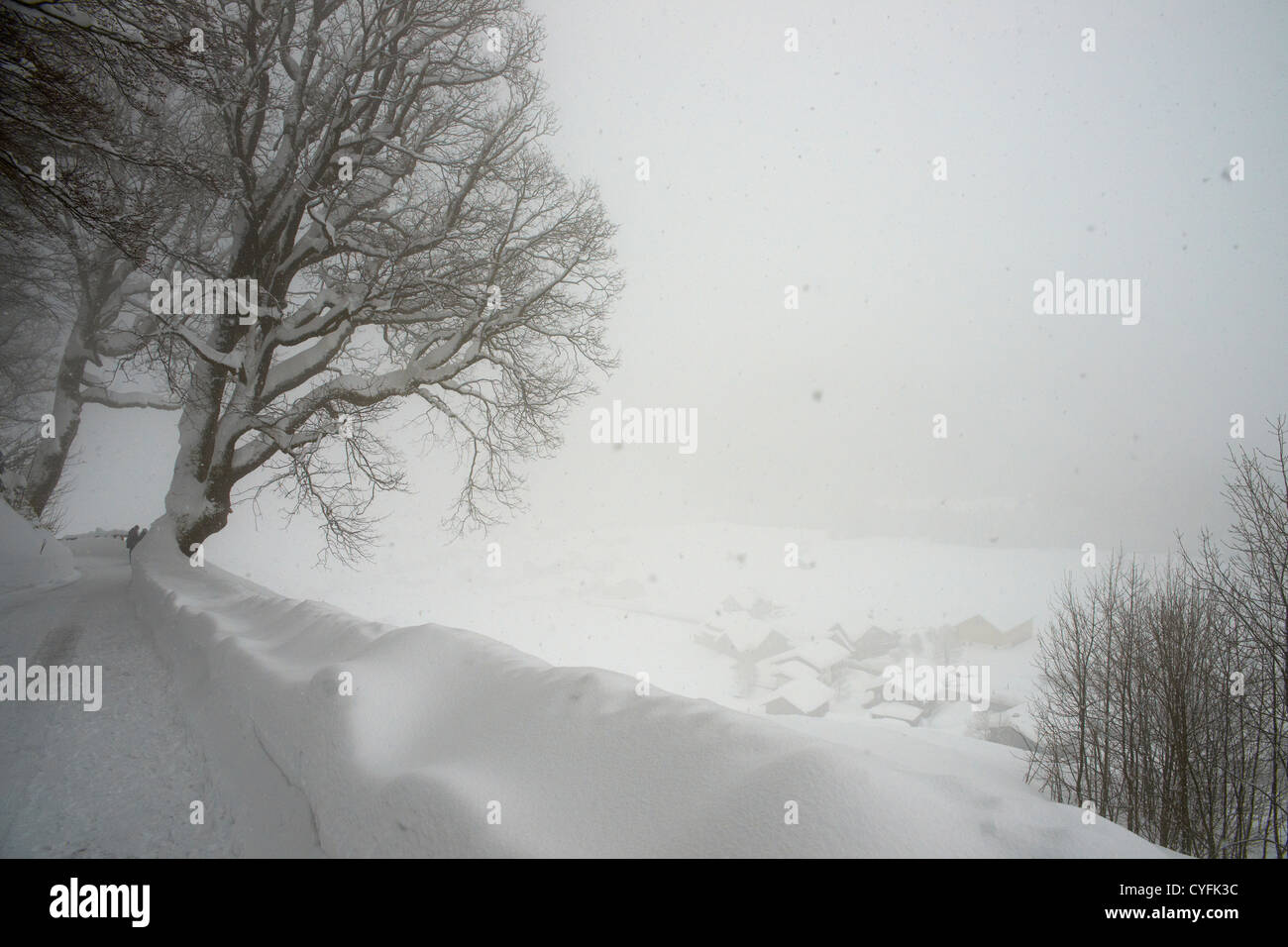 Heavy snowfall hi-res stock photography and images - Alamy