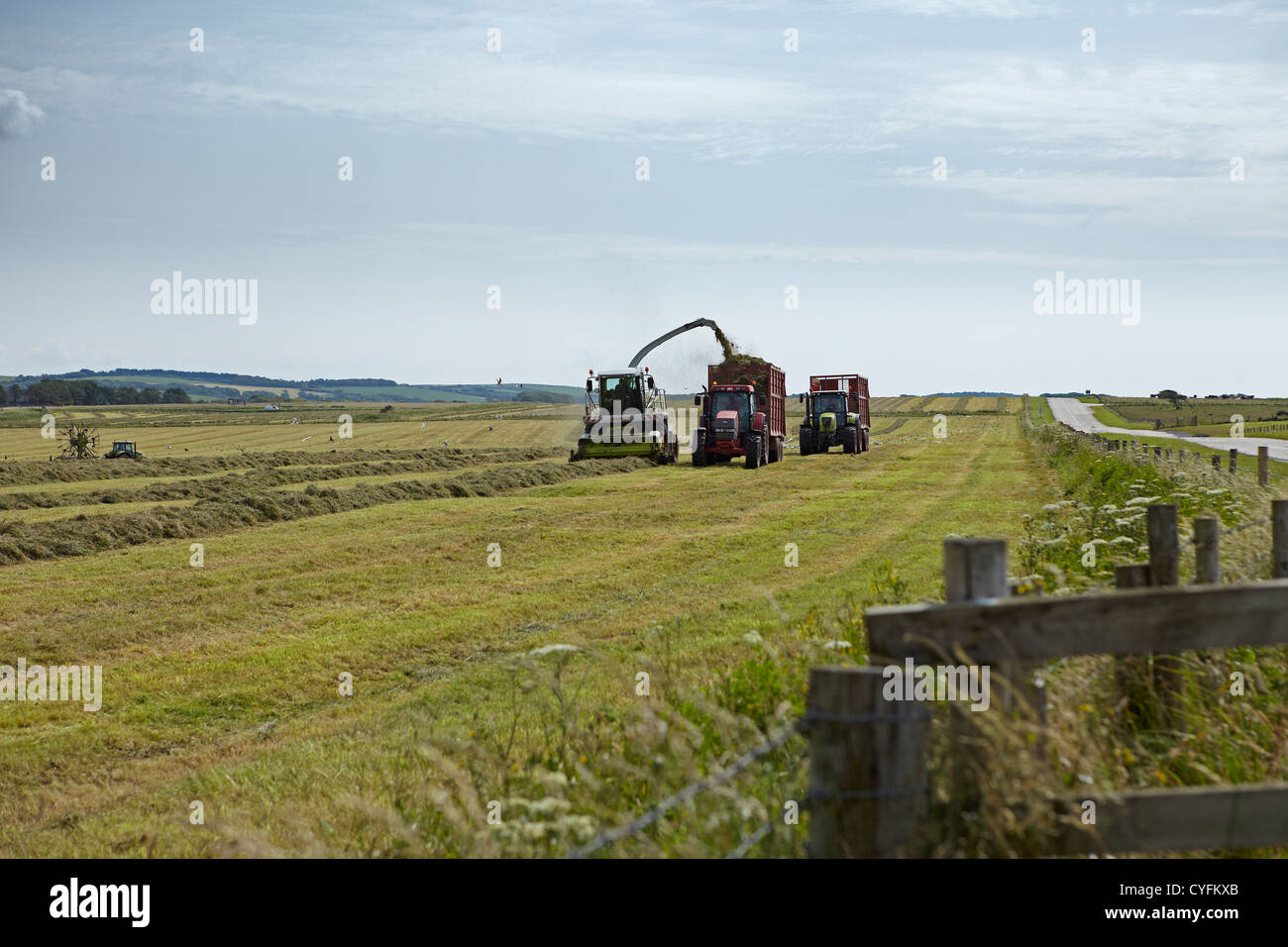 Making Silage on a farm in Pembrokeshire, Wales, UK Stock Photo - Alamy