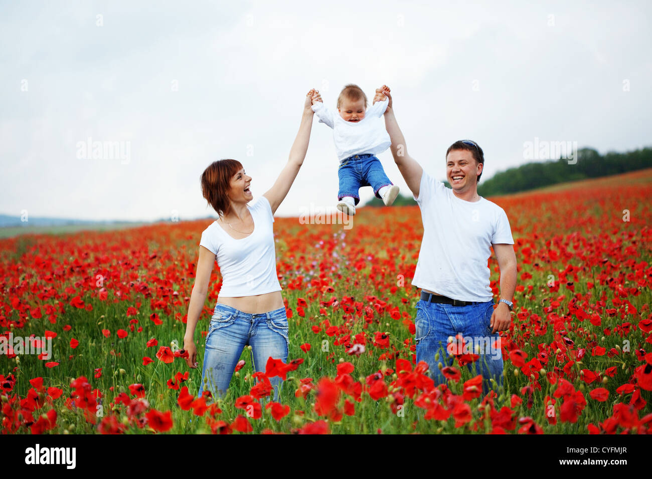 The poppy family group hi-res stock photography and images - Alamy