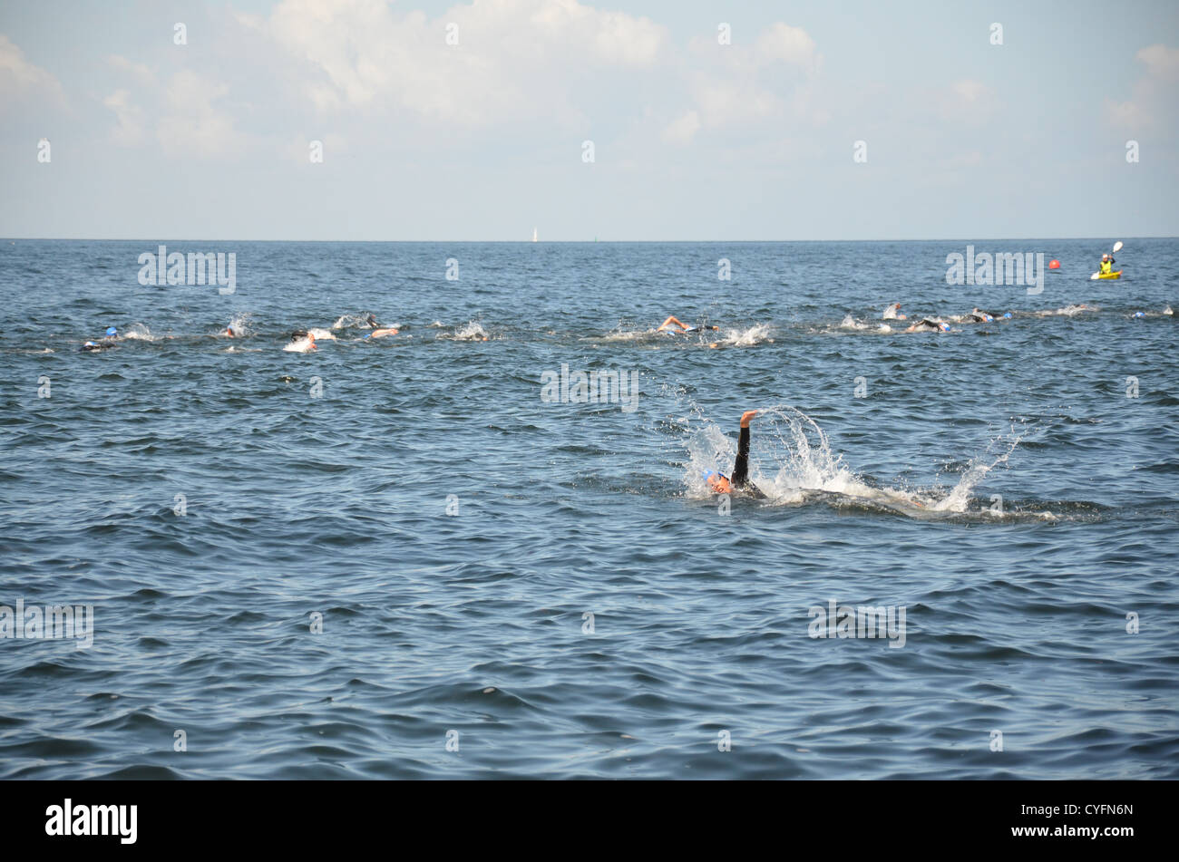 Competition of swim in Sweden in sea Stock Photo - Alamy