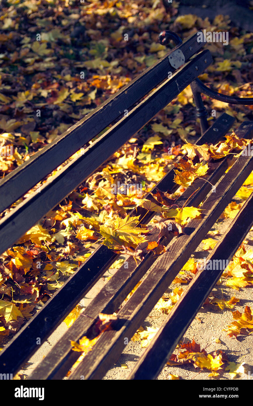 Empty park bench fall colors hi-res stock photography and images - Alamy
