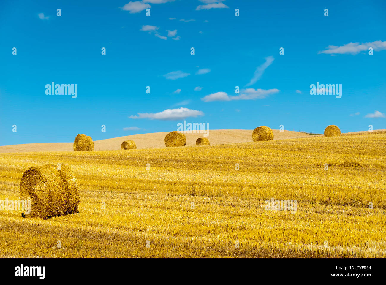 straw roll in a harvested field Stock Photo - Alamy
