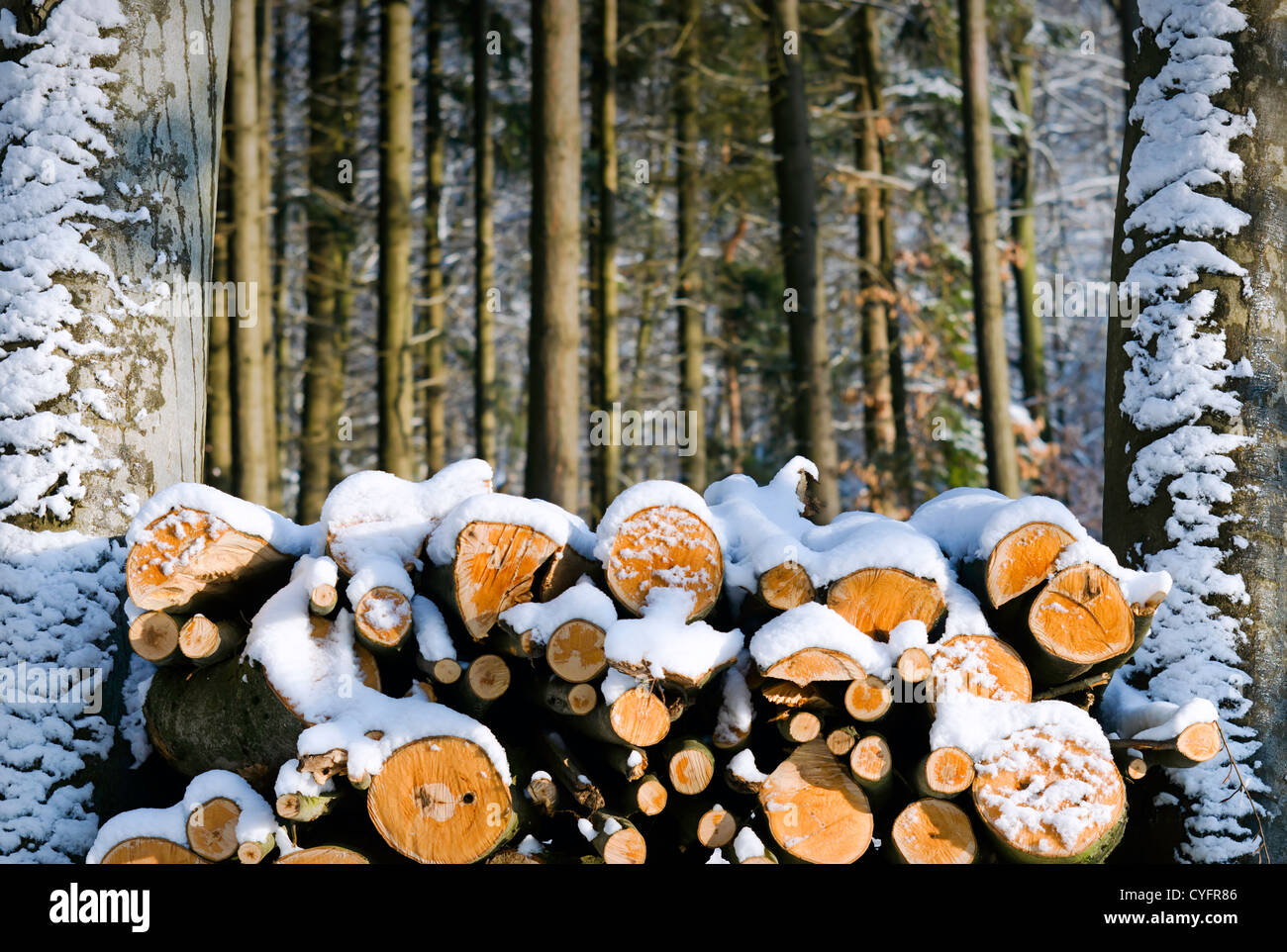 Stere wood hi-res stock photography and images - Alamy